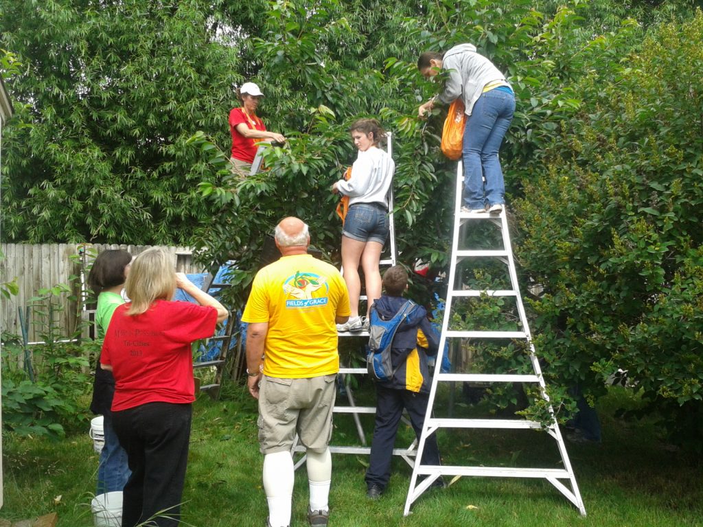 What is Gleaning? - Fields of Grace